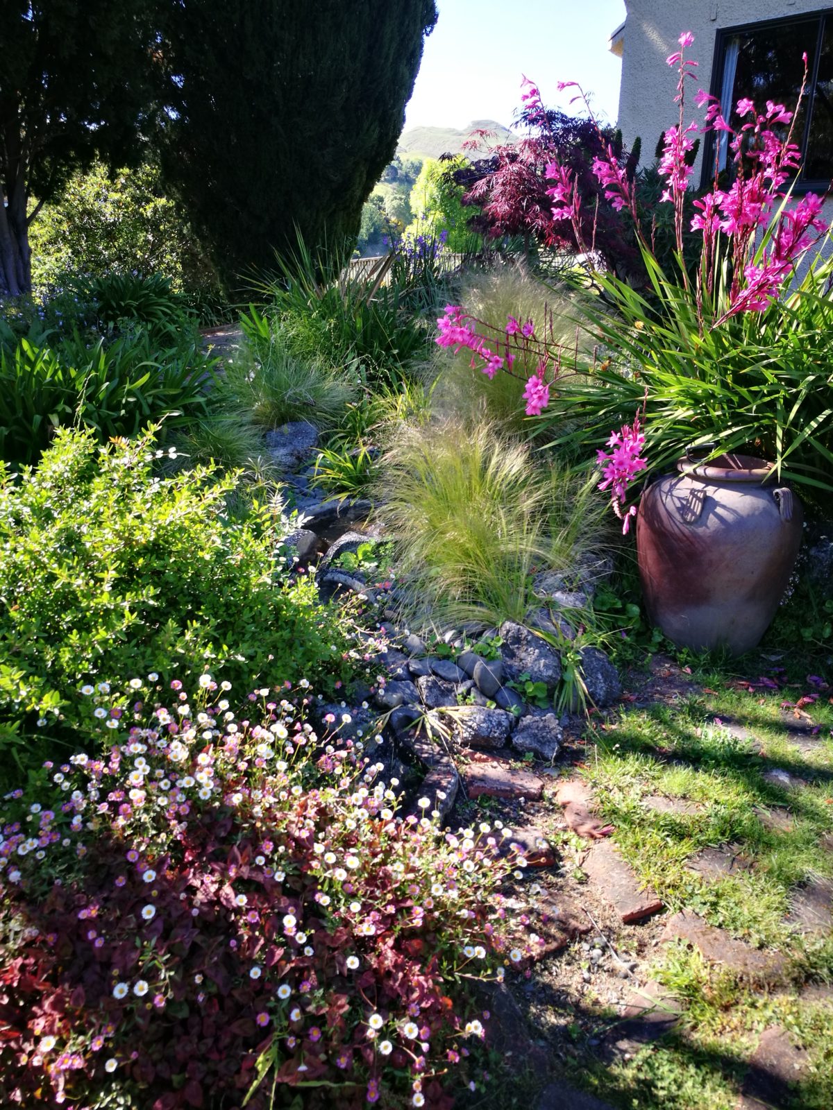 Porch and garden - Taruna